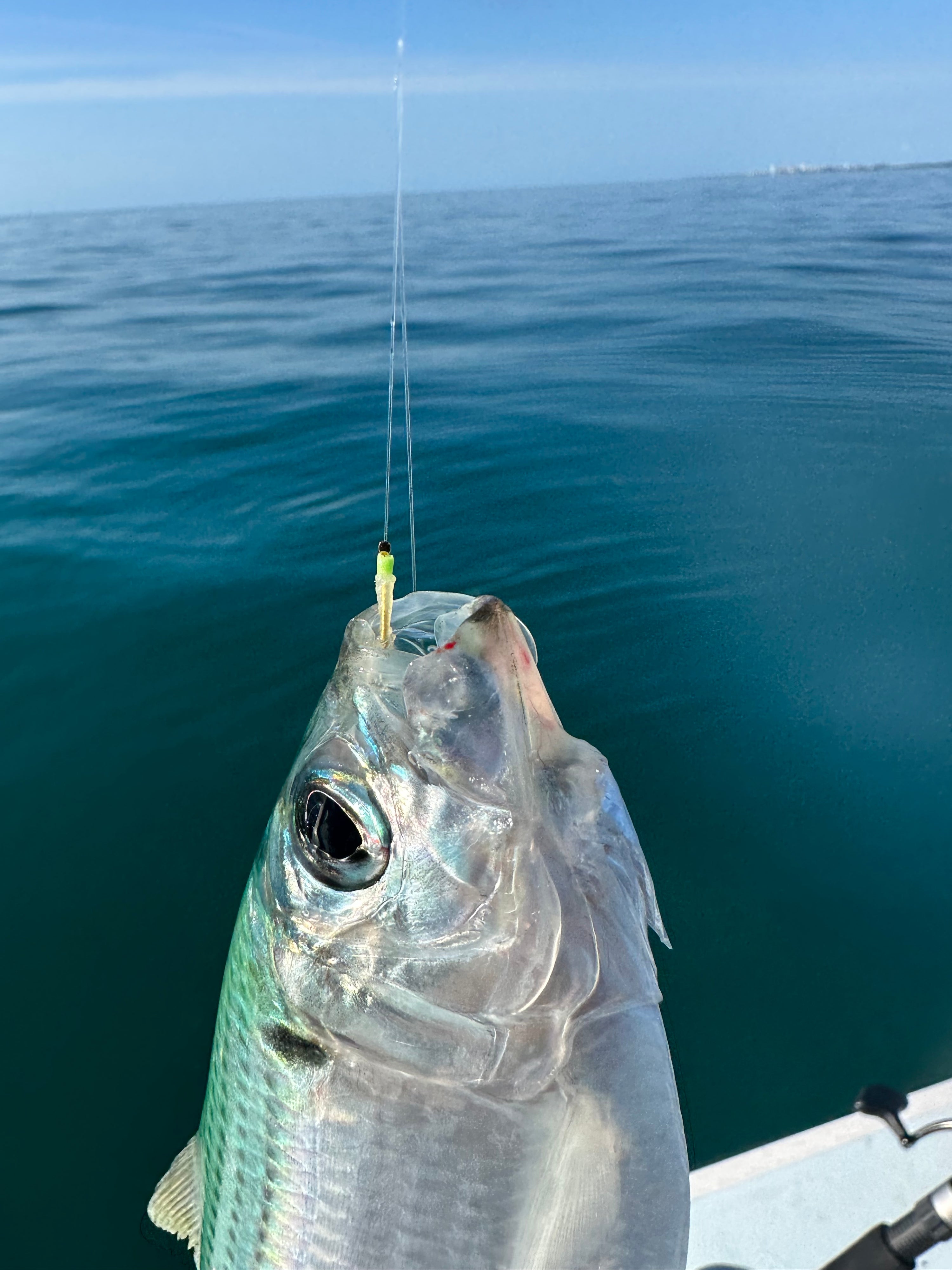 R&R Tackle Co. | Premium Saltwater Fishing Tackle